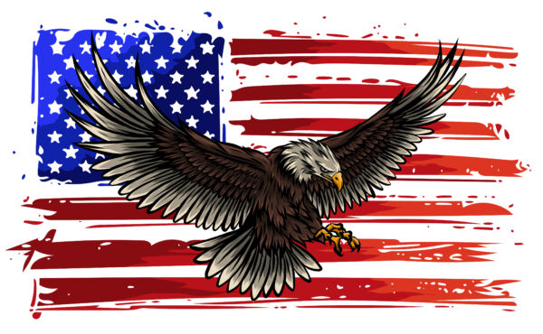 The McFiles E Network Channel – M.E.M.O. Ministry